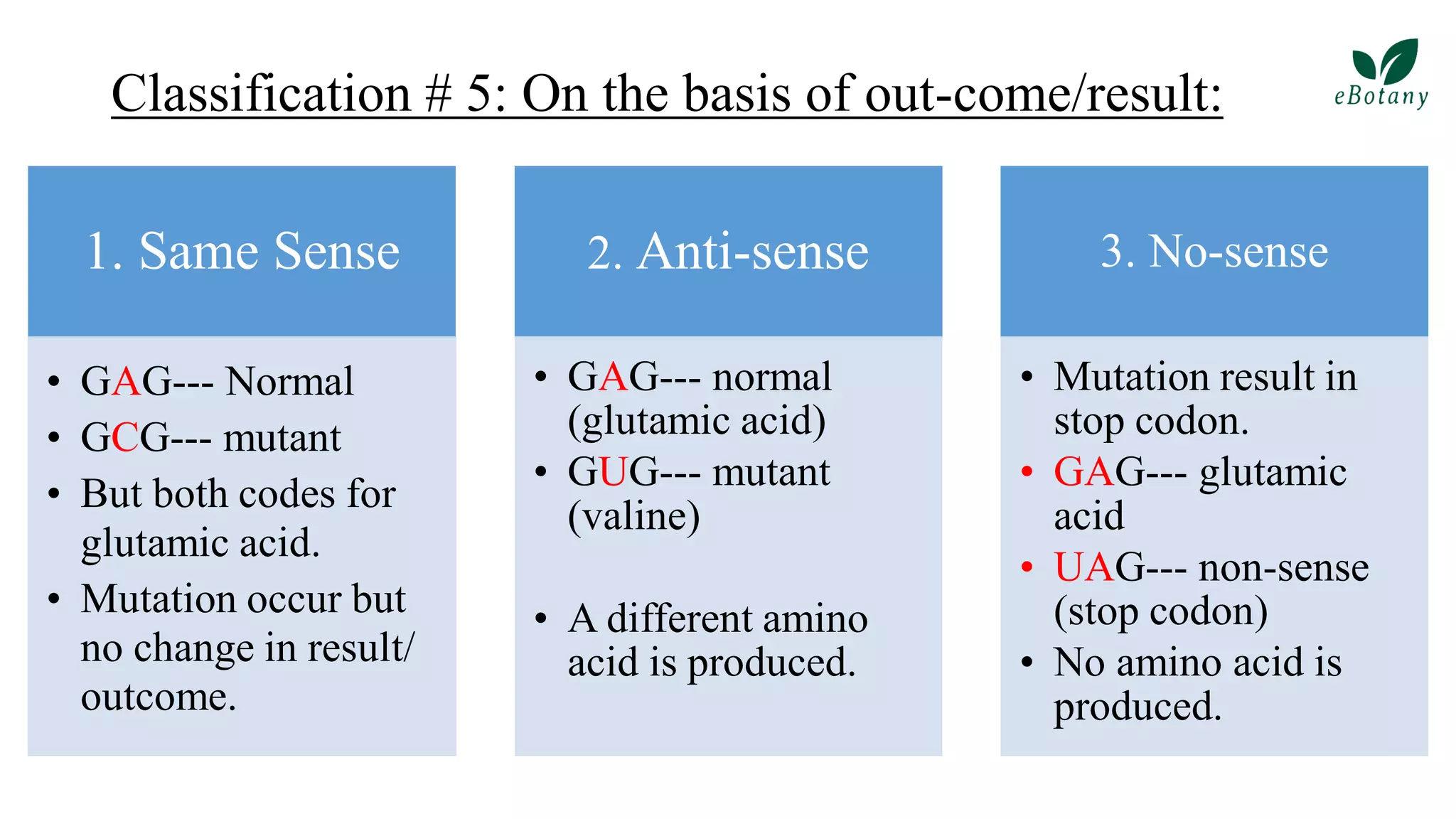 Gene mutation | PDF