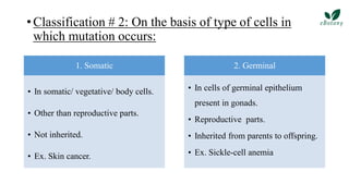 Gene mutation | PPT