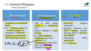 Gene mutation | PPT