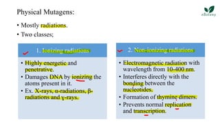 Gene mutation | PPT