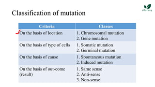 Gene mutation | PPT