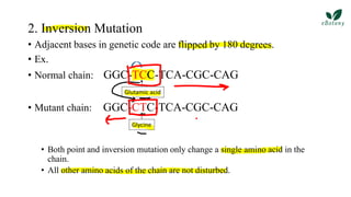 Gene mutation | PPT