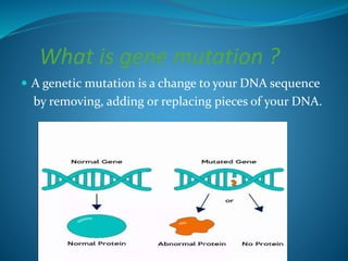 GENEMUTATION.pptx