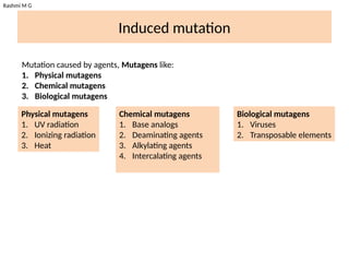 Gene Mutation- Introduction, mutagens, causes, consequences, detection ...