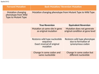 Gene Mutation- Introduction, mutagens, causes, consequences, detection ...