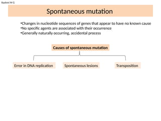 Gene Mutation- Introduction, mutagens, causes, consequences, detection ...
