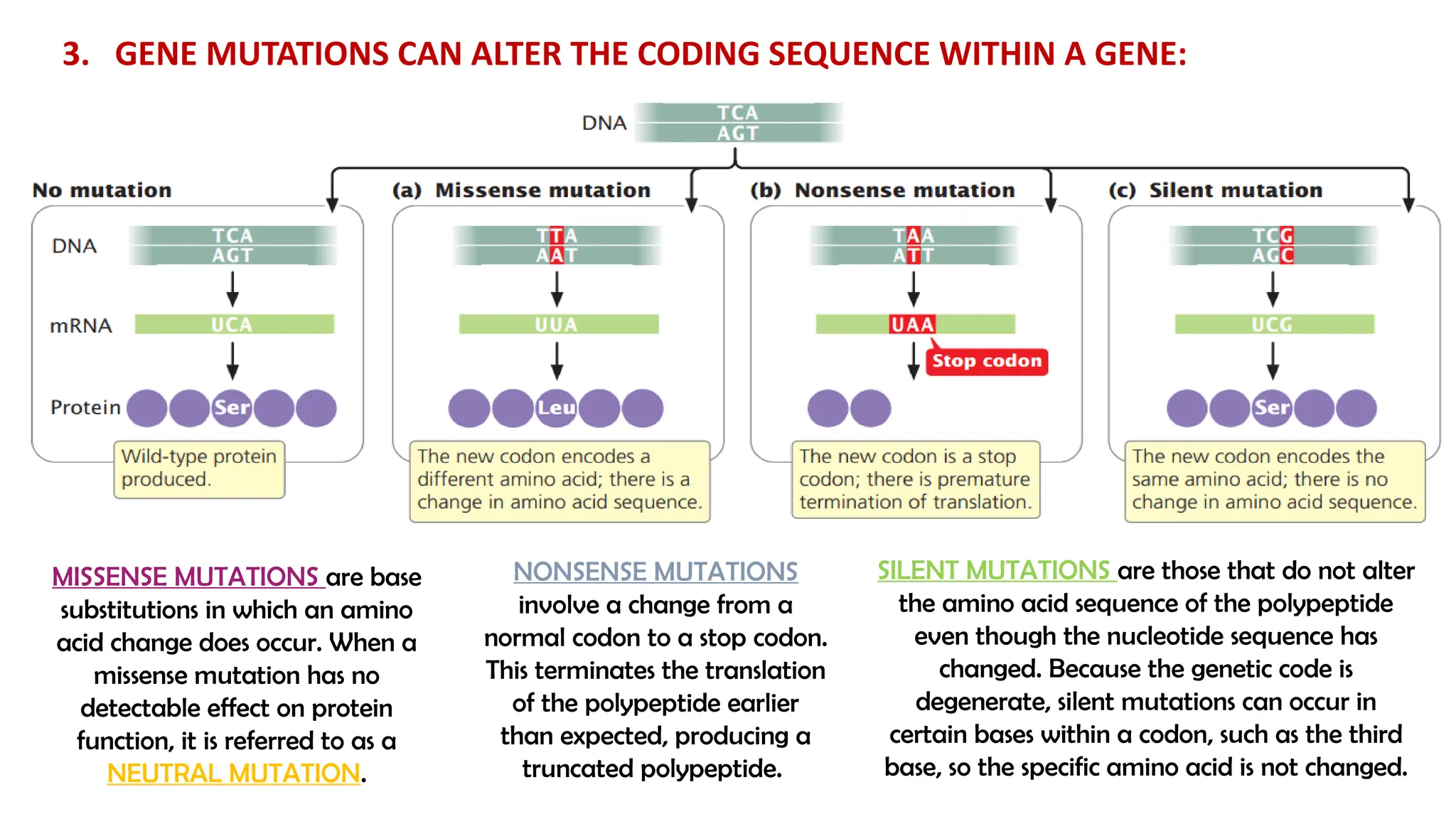 GENE MUTATION: ALL TYPES OF GENE MUTATION | PPTX