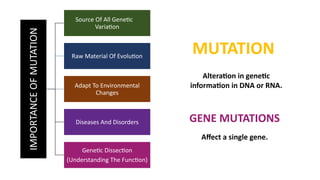 GENE MUTATION: ALL TYPES OF GENE MUTATION | PPTX