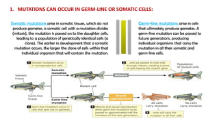 GENE MUTATION: ALL TYPES OF GENE MUTATION | PPTX