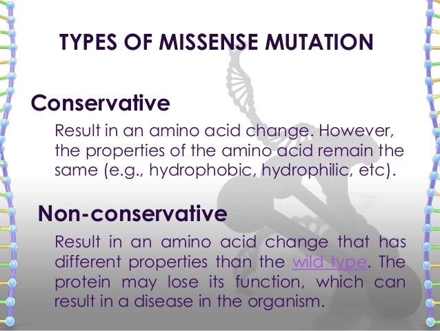 Gene Mutation