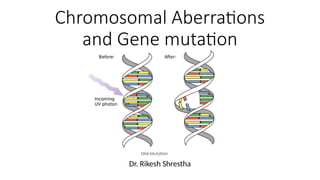 Gene mutation and chromosomal mutation.pptx
