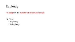 Gene mutation and chromosomal mutation.pptx