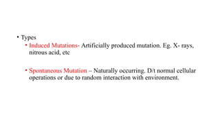 Gene mutation and chromosomal mutation.pptx