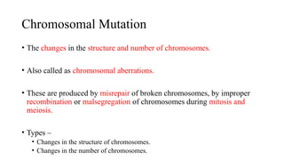 Gene mutation and chromosomal mutation.pptx
