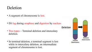 Gene mutation and chromosomal mutation.pptx