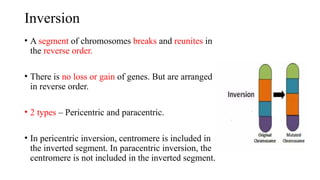 Gene mutation and chromosomal mutation.pptx