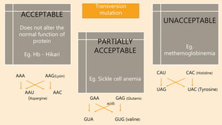 Gene mutation and Regulation of Gene expression | PPTX