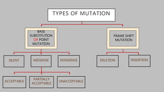 Gene mutation and Regulation of Gene expression | PPTX