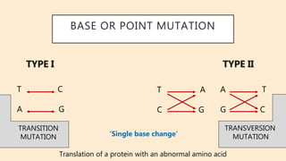 Gene mutation and Regulation of Gene expression | PPTX
