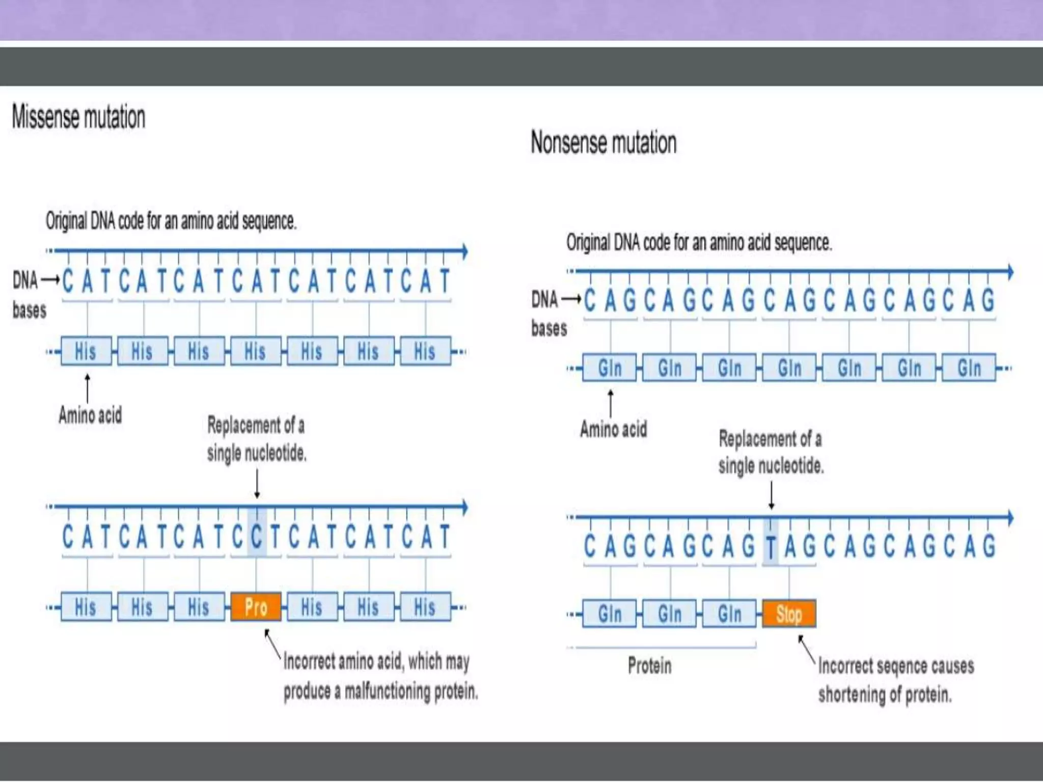 Gene mutation IN Detail And structure Symptoms Cause | PPTX