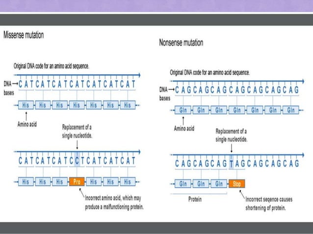 Gene mutation IN Detail And structure Symptoms Cause | PPTX