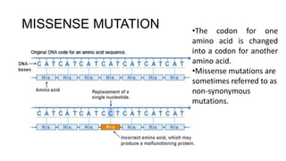 Gene mutations | PPT