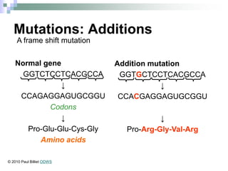 GENEMUTATIONS.ppt