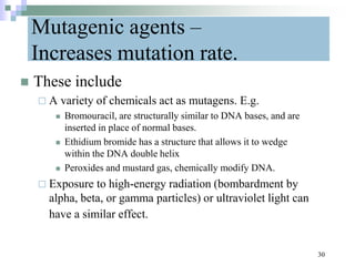 GENEMUTATIONS.ppt