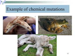 GENEMUTATIONS.ppt