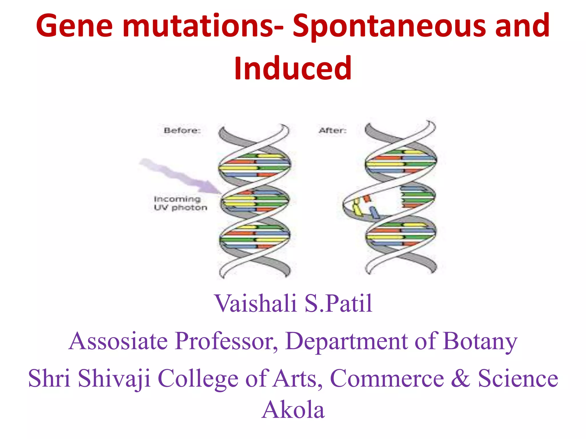 Gene mutations spontaneous and induced | PPTX