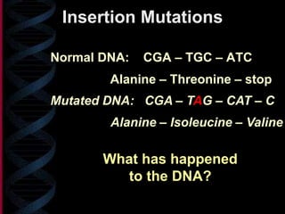 genemutationsppt-11111009180phpapp01.ppt