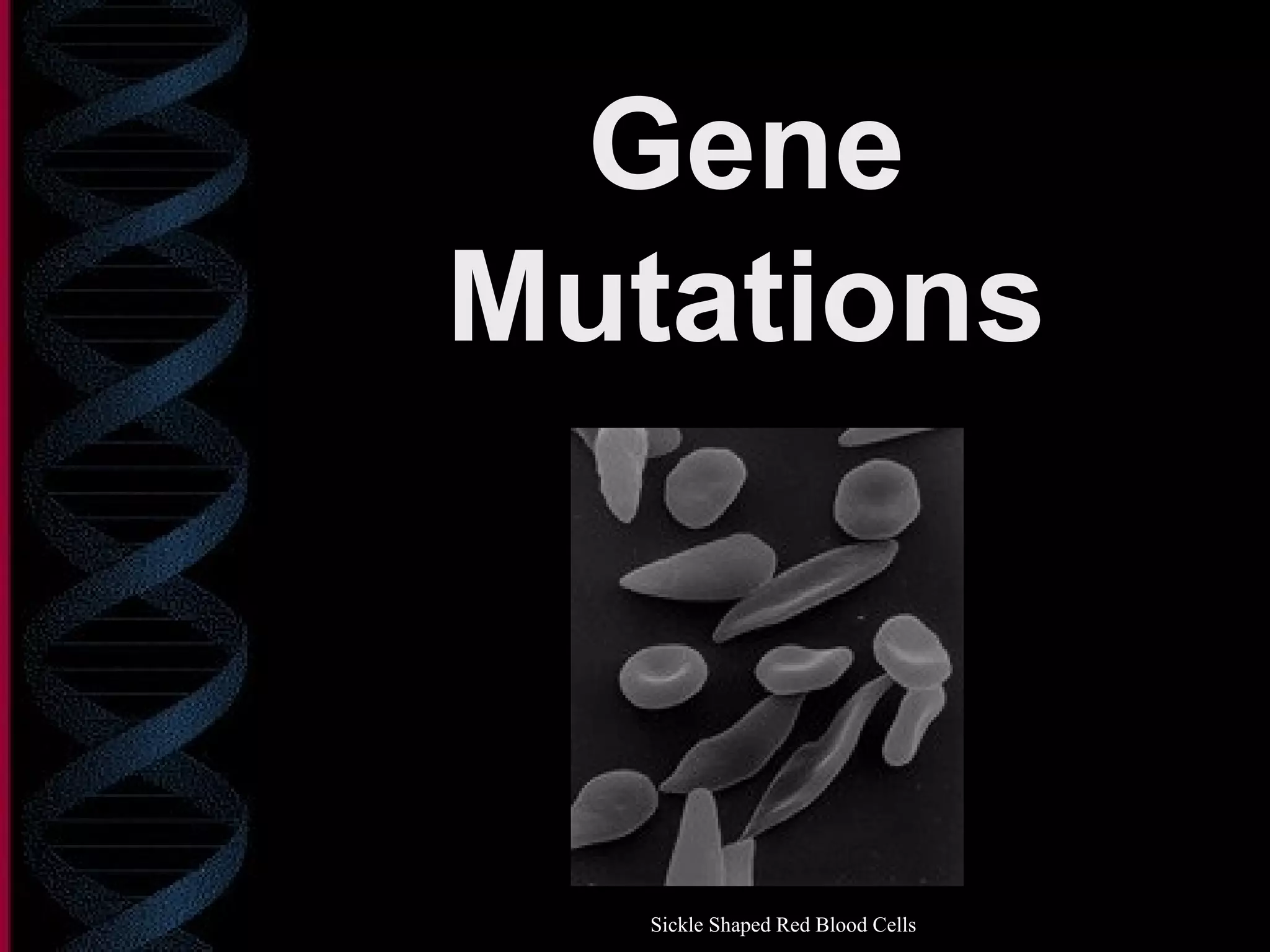 Gene mutations ppt | PPT