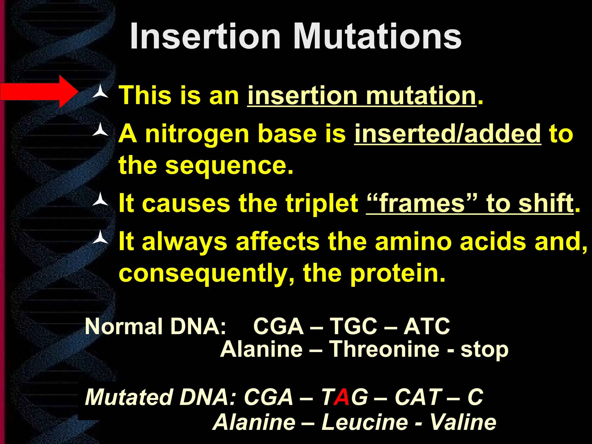 Gene mutations ppt | PPT