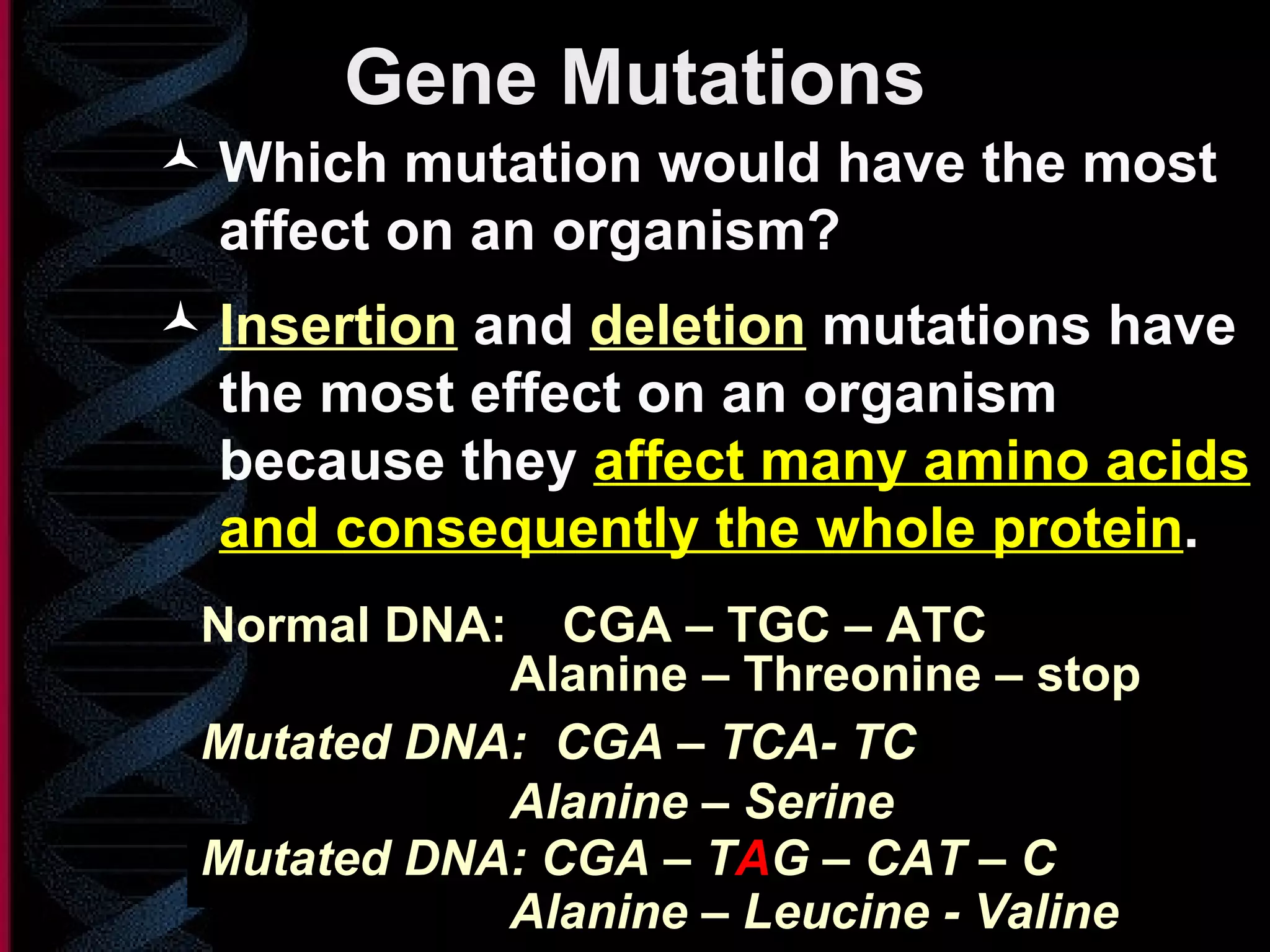 Gene mutations ppt | PPT