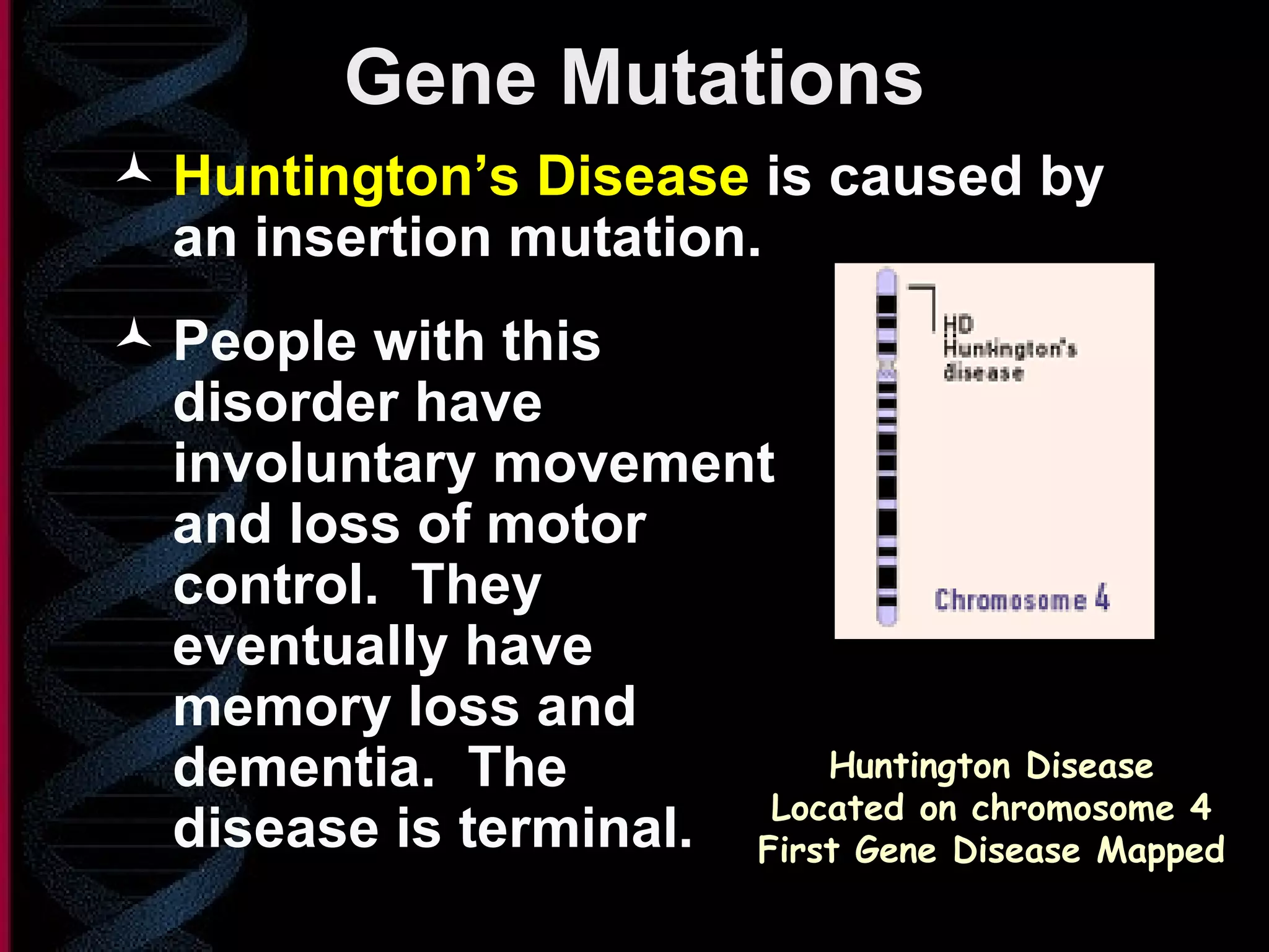 Gene mutations ppt | PPT