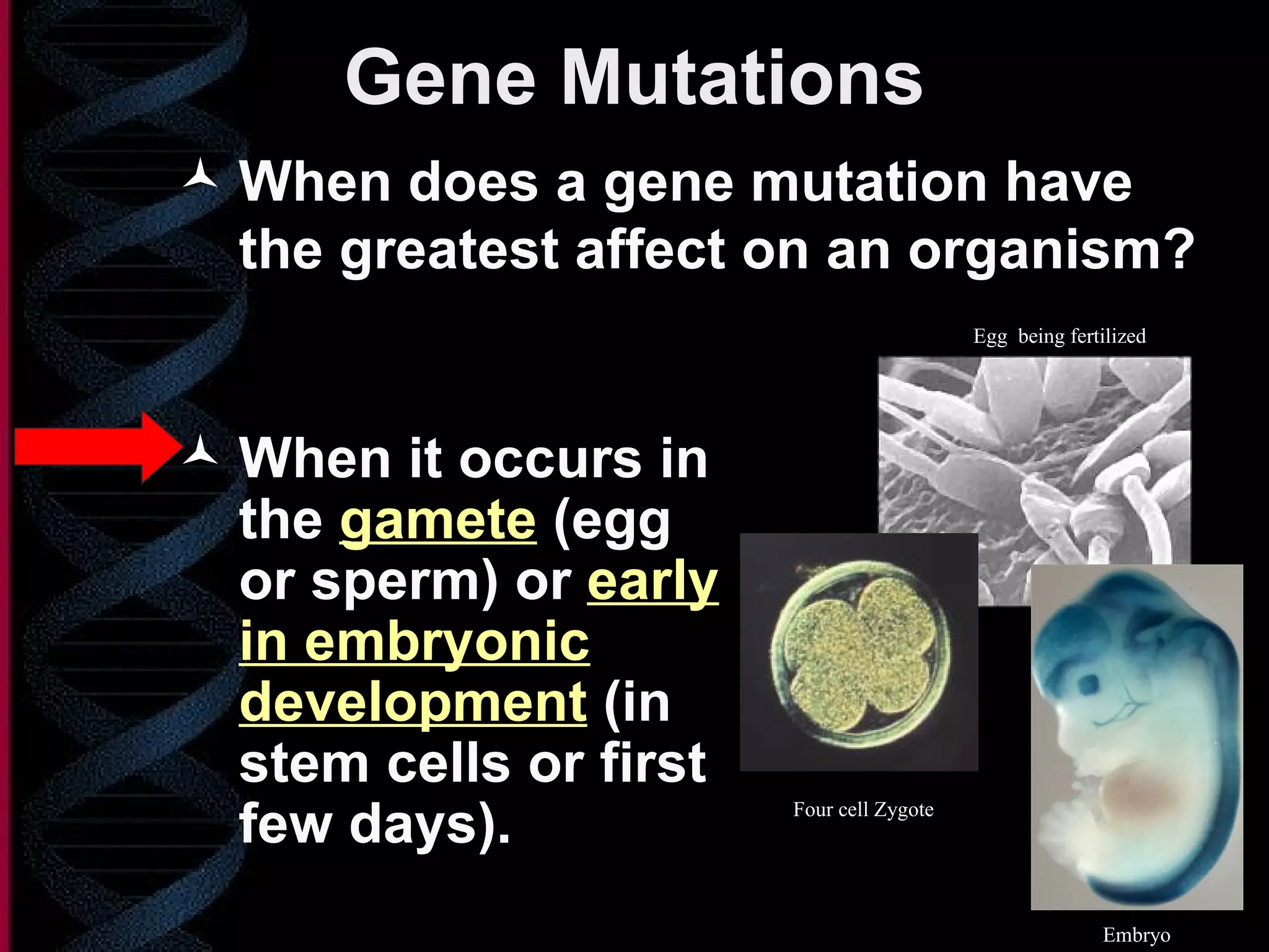 Gene mutations ppt | PPT