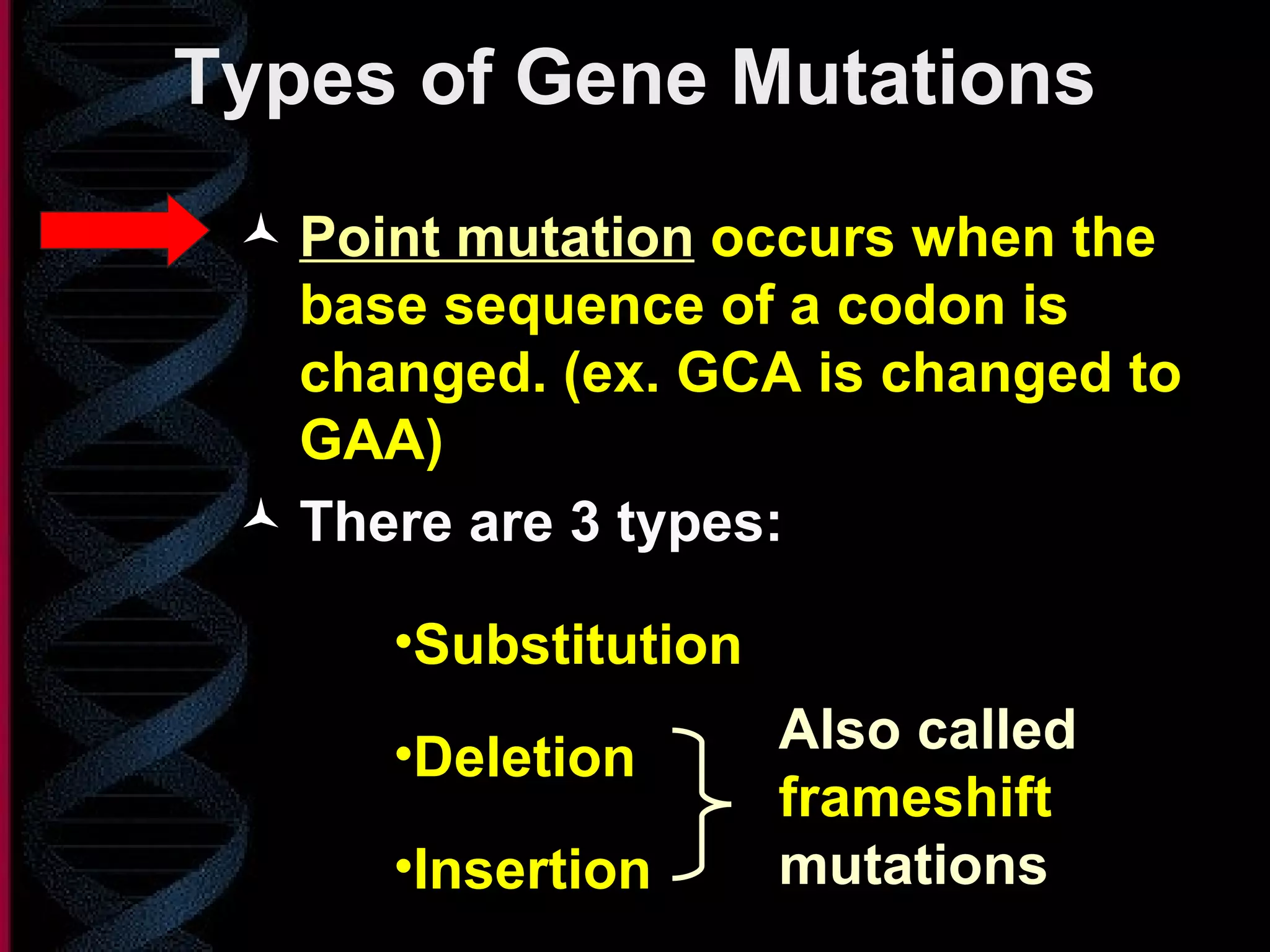 Gene mutations ppt | PPT