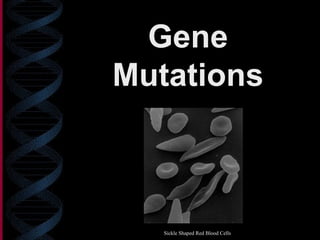 Gene mutations ppt | PPT