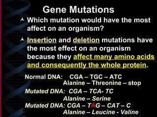 Gene mutations ppt | PPT