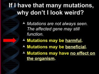 Gene mutations ppt | PPT