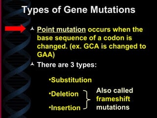 Gene mutations ppt | PPT