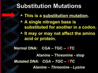 Gene mutations ppt | PPT