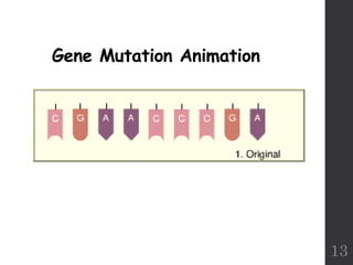 GENE MUTATIONS POWERPOINT PRESENTATION | PPTX