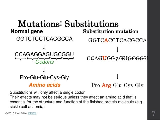 GENE MUTATIONS POWERPOINT PRESENTATION