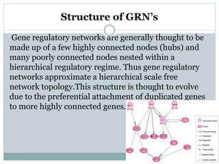 Gene network and pathways | PPTX