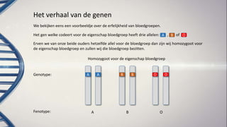 Genen genotype fenotype en karyogram | PPT