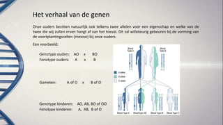 Genen genotype fenotype en karyogram | PPT