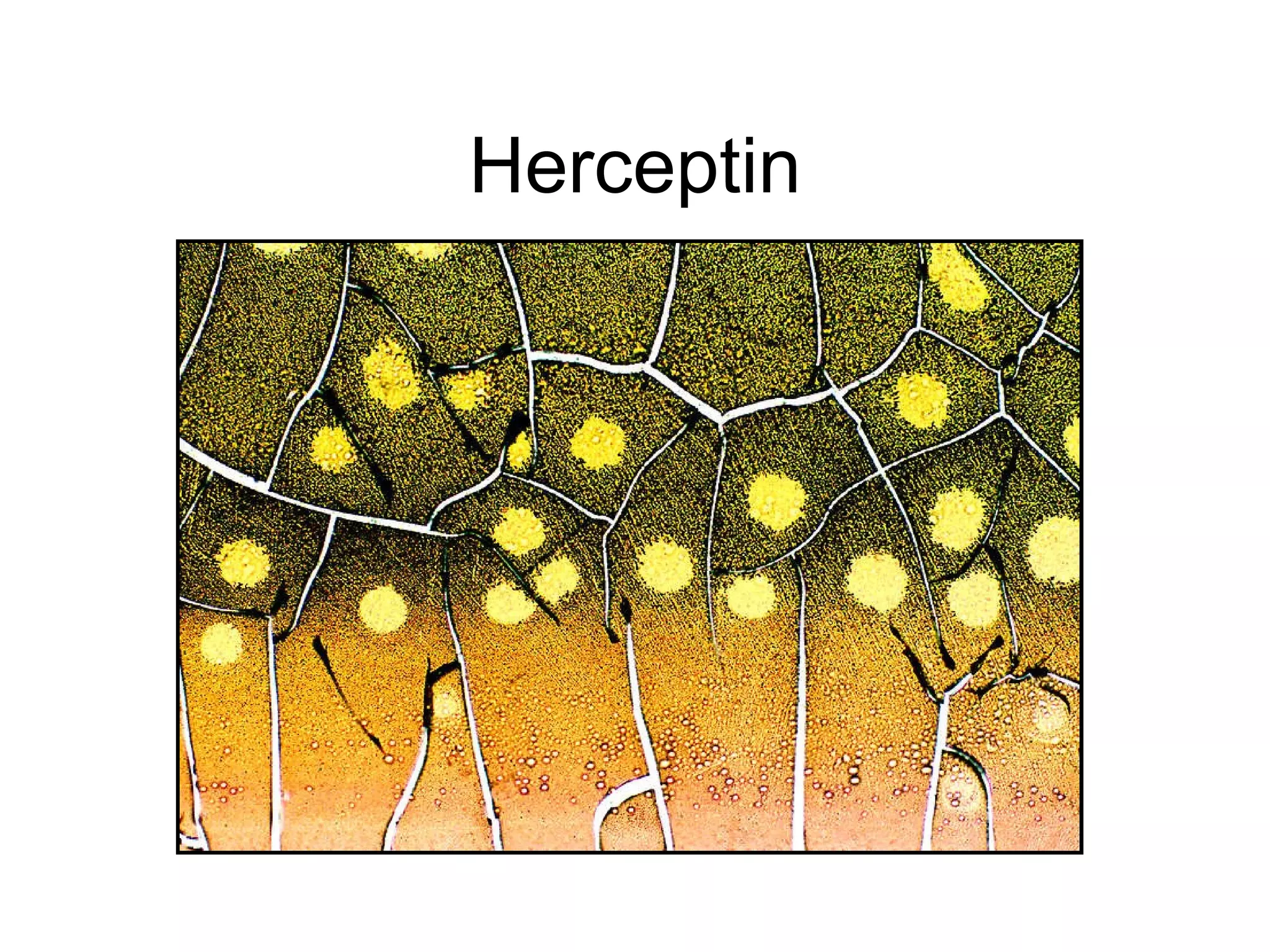 Genentech drugs in fine art | PPT