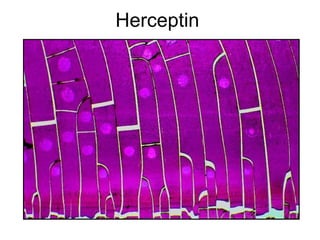 Genentech drugs in fine art | PPT