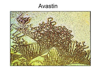 Genentech drugs in fine art | PPT